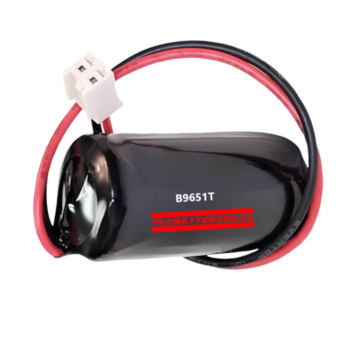 Koyo Direct Logic Dl305, Plc Battery Replacement